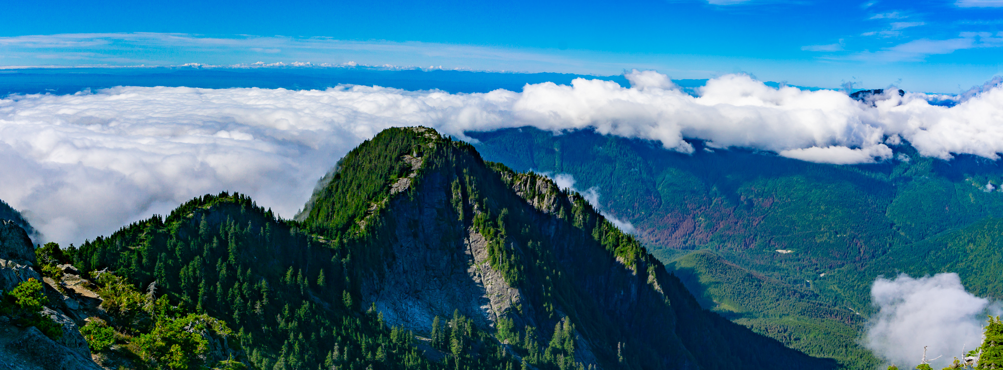 Hiking Crown Mountain in North Vancouver - Best Hikes BC