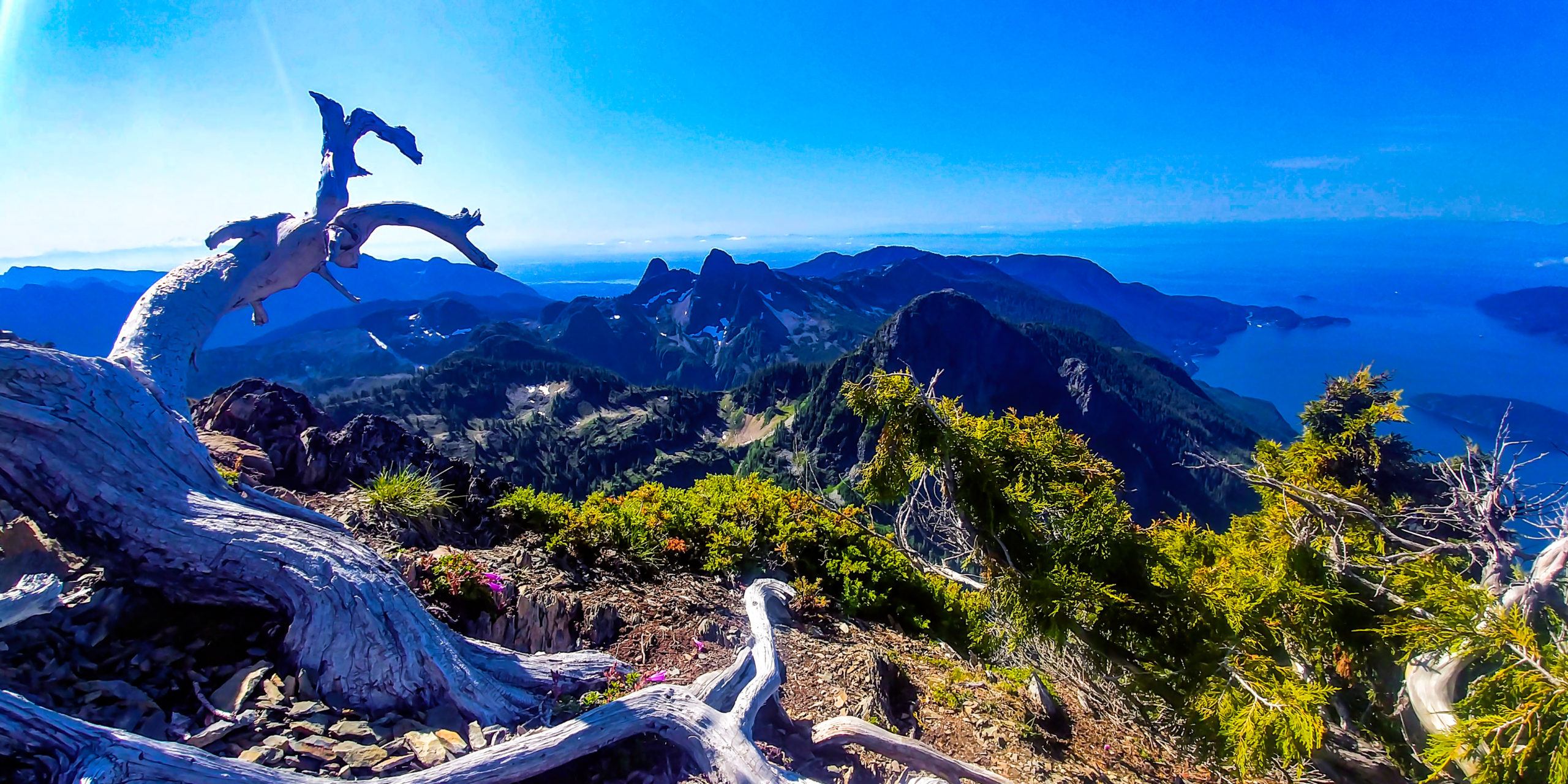 Hiking Brunswick Mountain near Lions Bay - Best Hikes BC