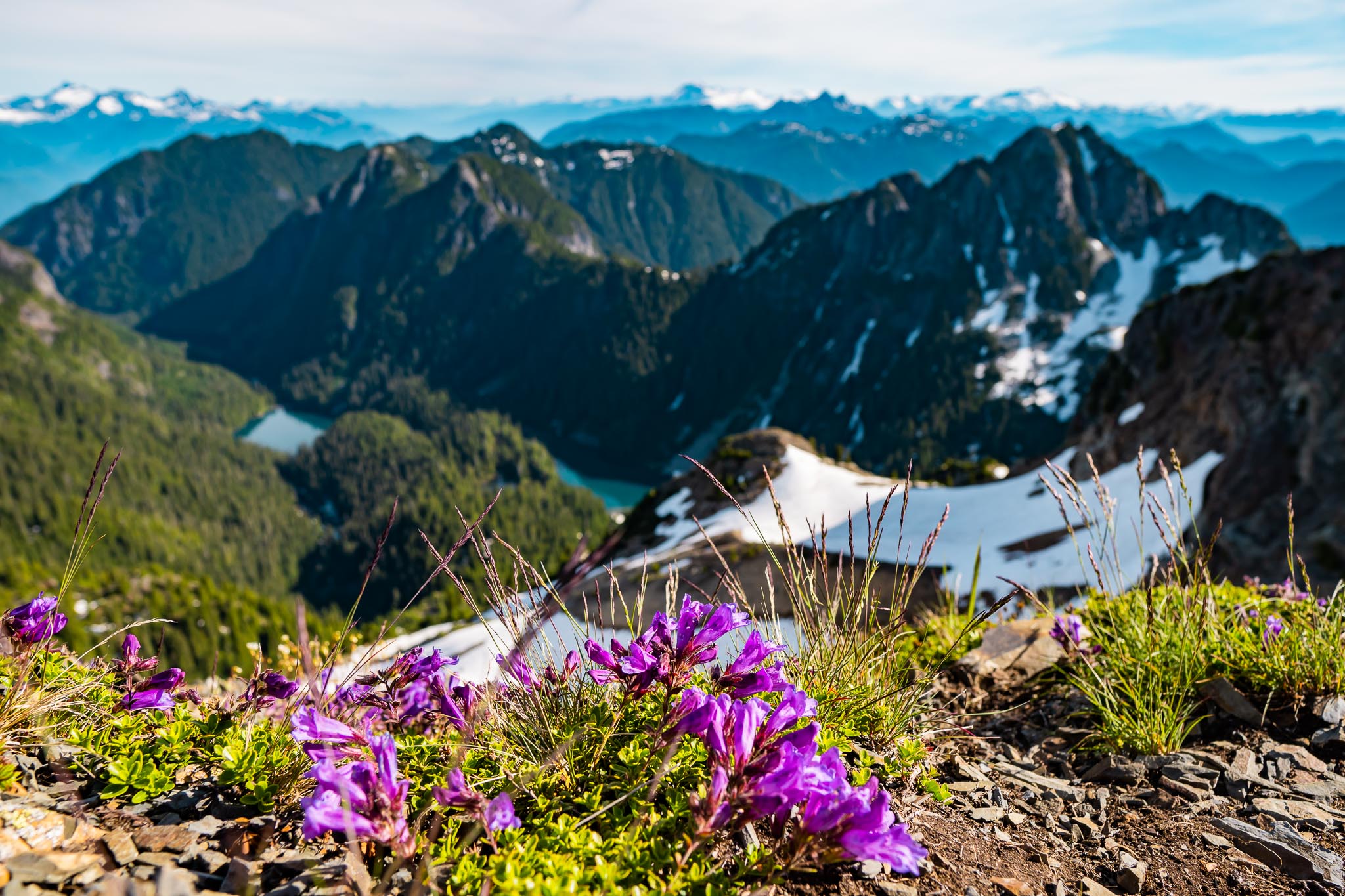 Hiking Brunswick Mountain near Lions Bay - Best Hikes BC