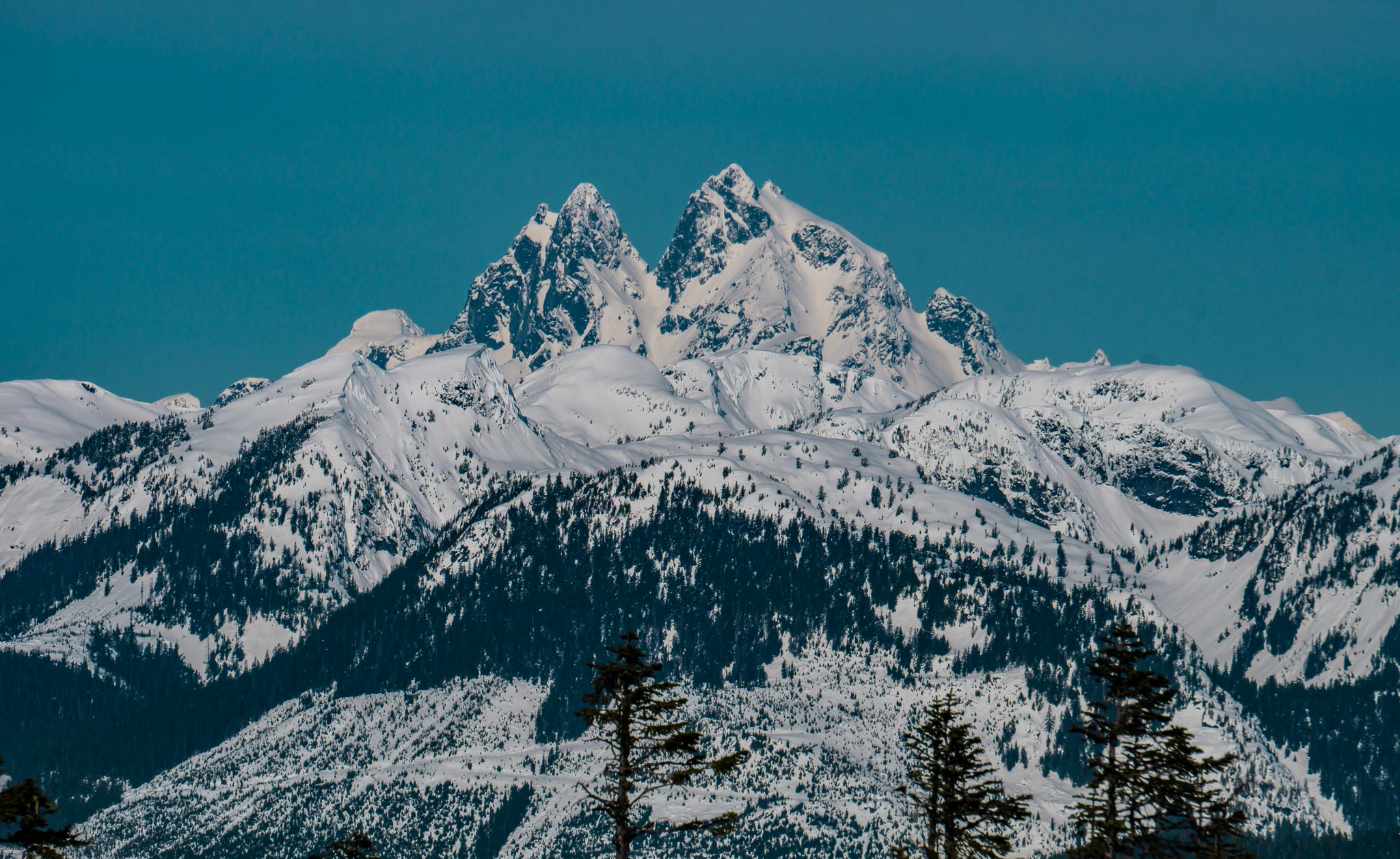 Hiking Cartmell Peak in the Hemlock Valley near Harrison - Best Hikes BC
