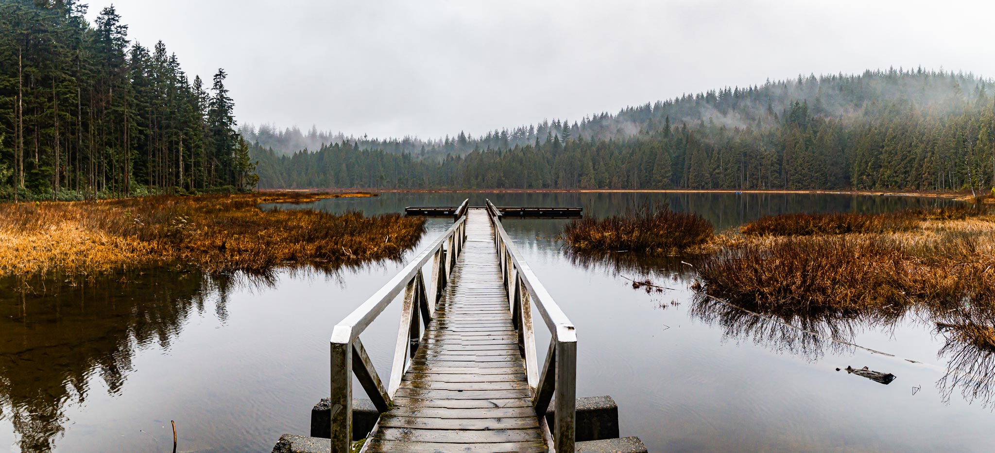 Hiking Mike Lake in Golden Ears Provincial Park - Best Hikes BC