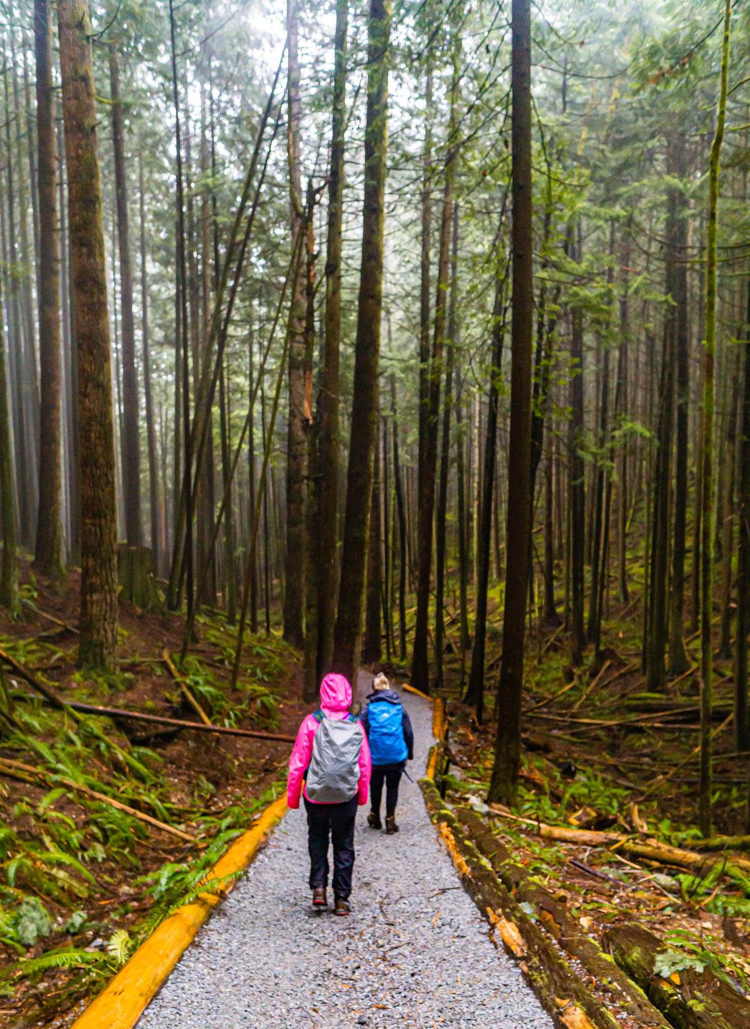 Hiking Mike Lake in Golden Ears Provincial Park - Best Hikes BC