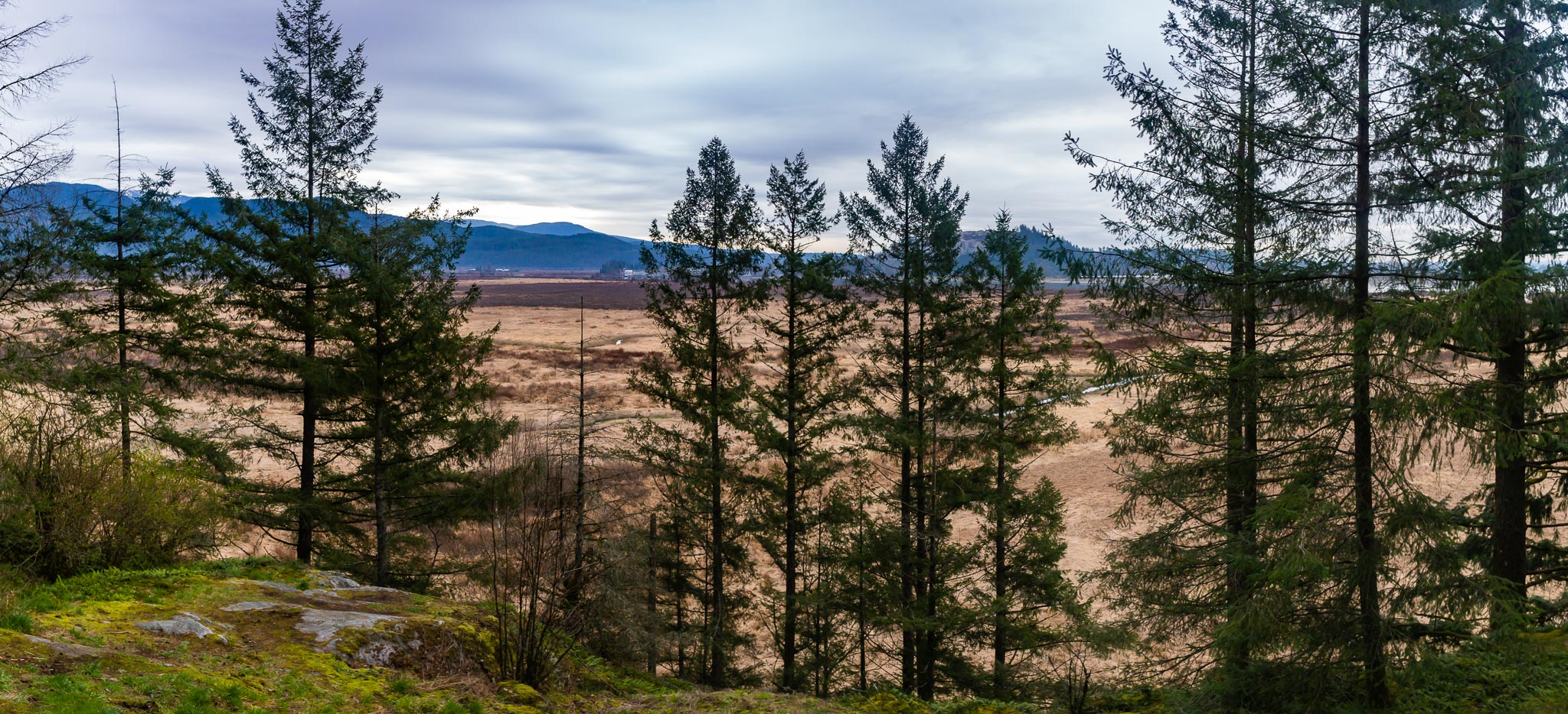 Hiking Minnekhada Regional Park in Coquitlam - Best Hikes BC