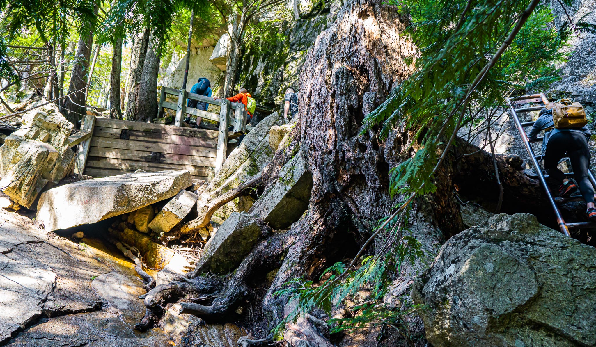 Hiking the Stawamus Chief (The Chief) in Squamish - Best Hikes BC