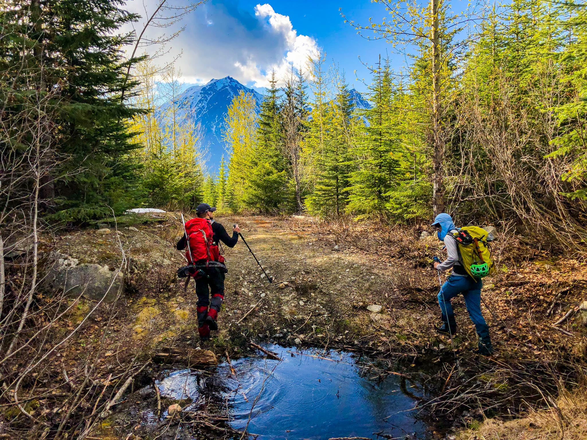 Hiking Mount Marriott in Pemberton - Best Hikes BC