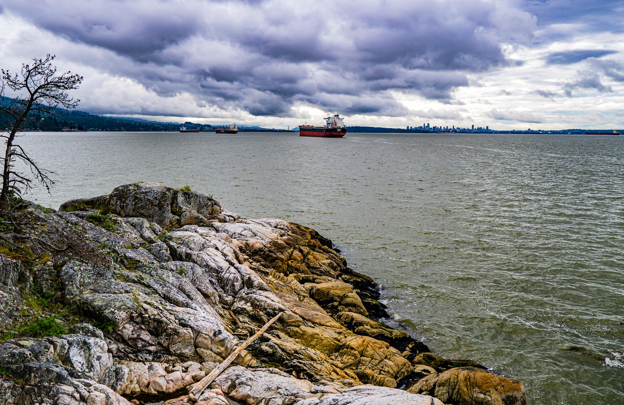 Hiking Lighthouse Park in West Vancouver - Best Hikes BC