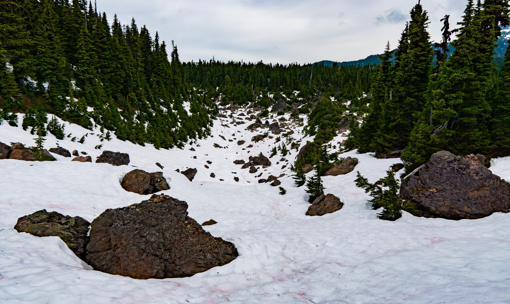 Hiking Mount Price in Garibaldi Provincial Park - Best Hikes BC