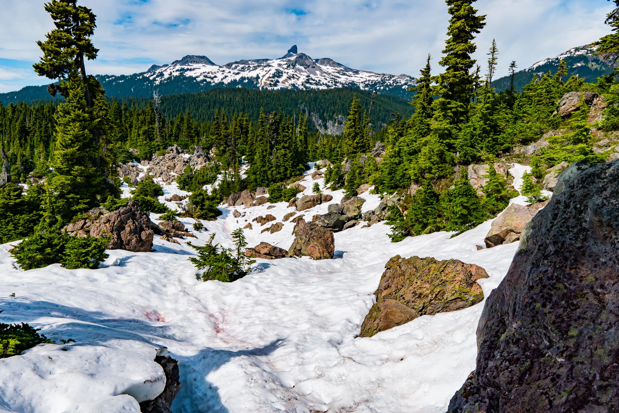 Hiking Mount Price in Garibaldi Provincial Park - Best Hikes BC