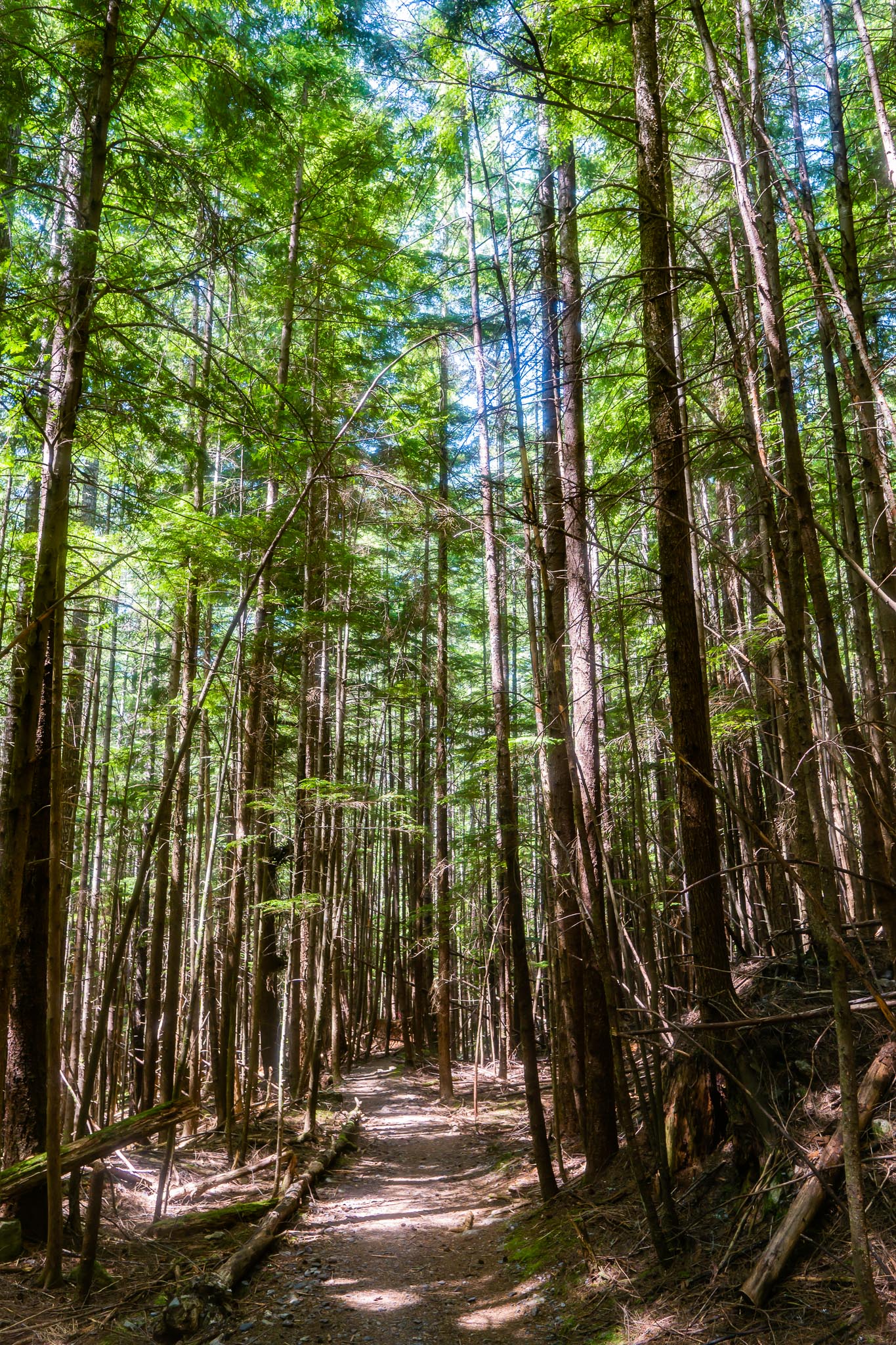Hiking Deeks Lake on the Howe Sound Crest Trail - Best Hikes BC