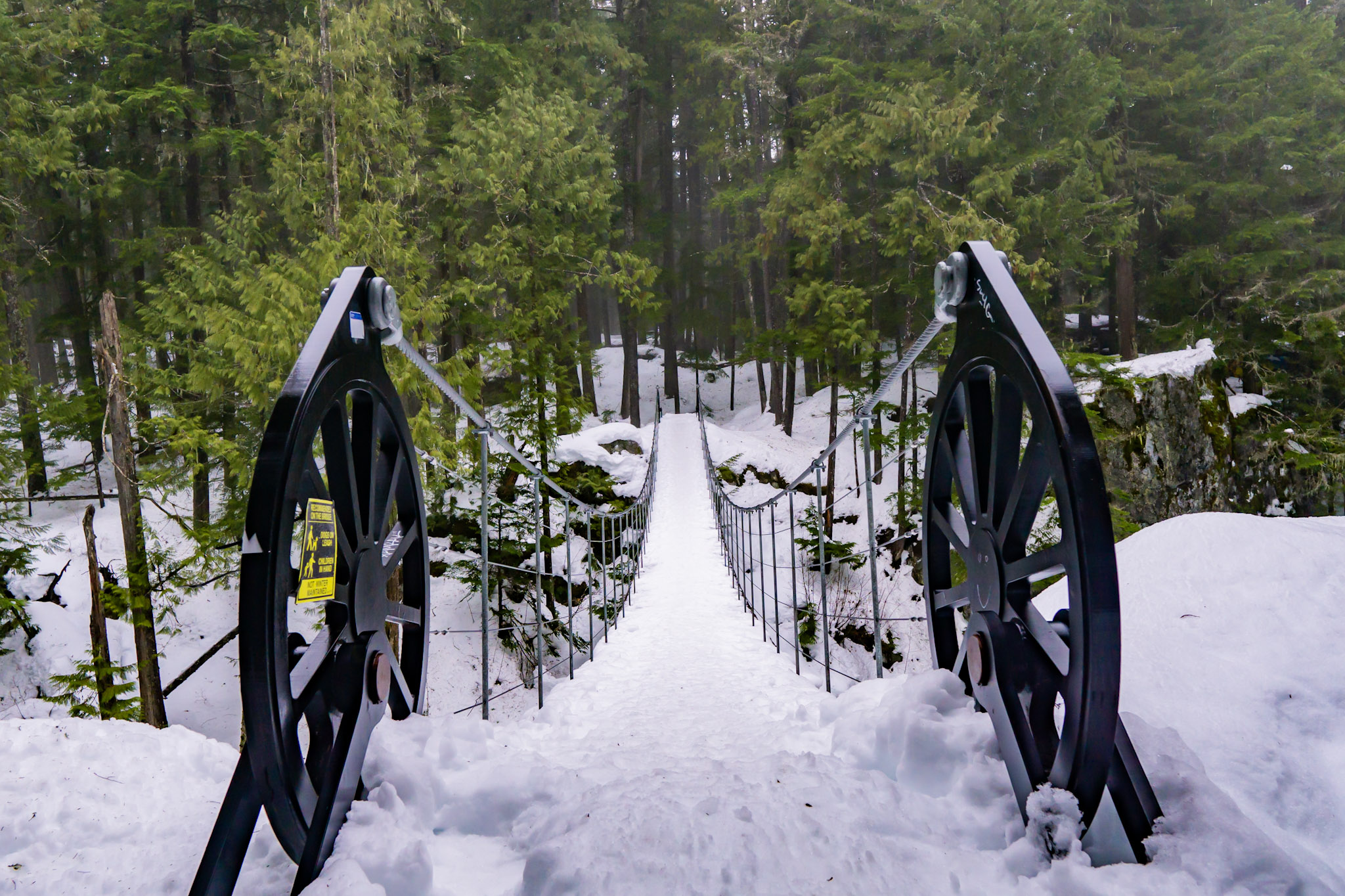 Hiking the Whistler Train Wreck in Whistler - Best Hikes BC