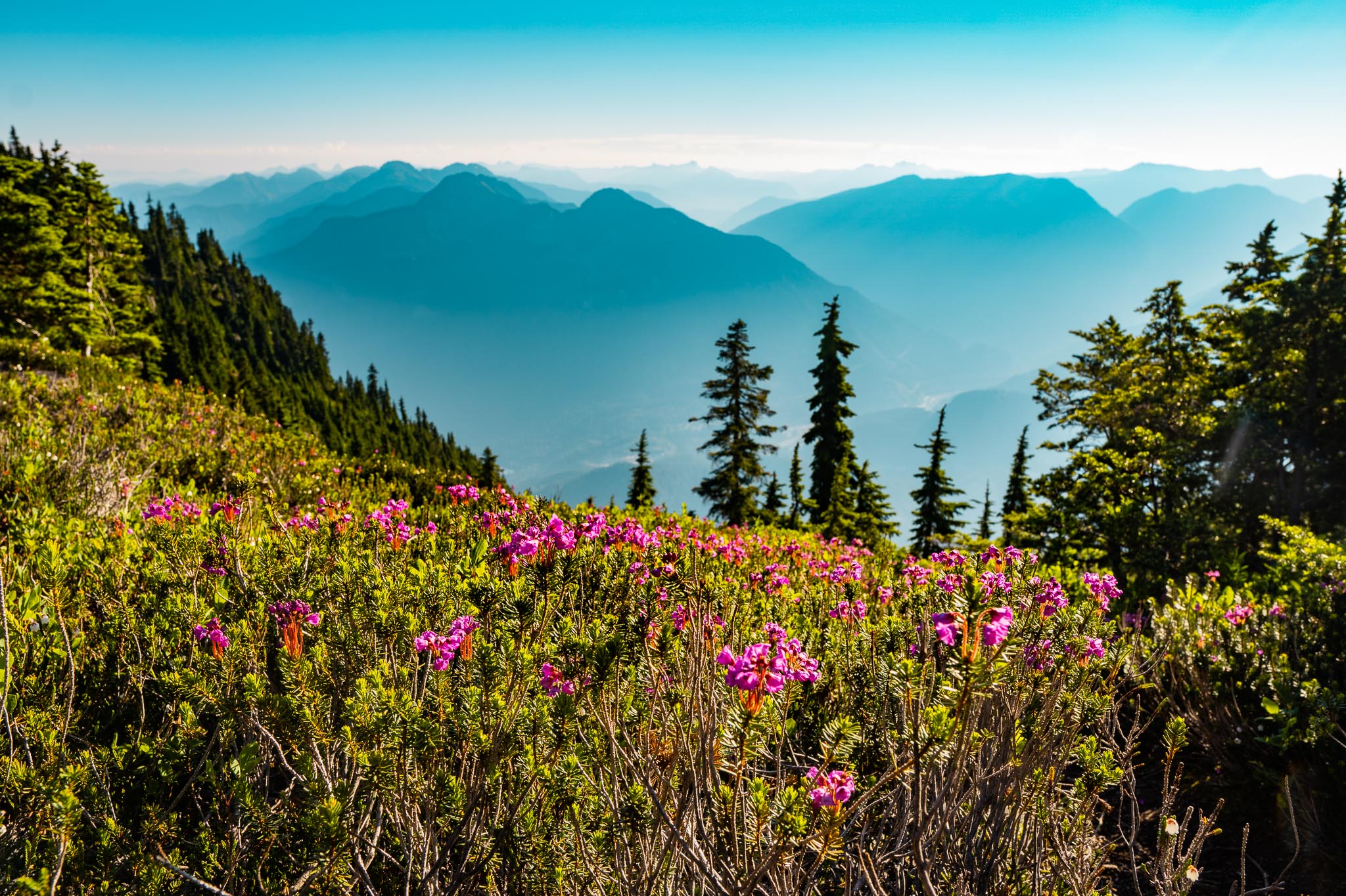 Hiking Hope Mountain near Hope - Best Hikes BC