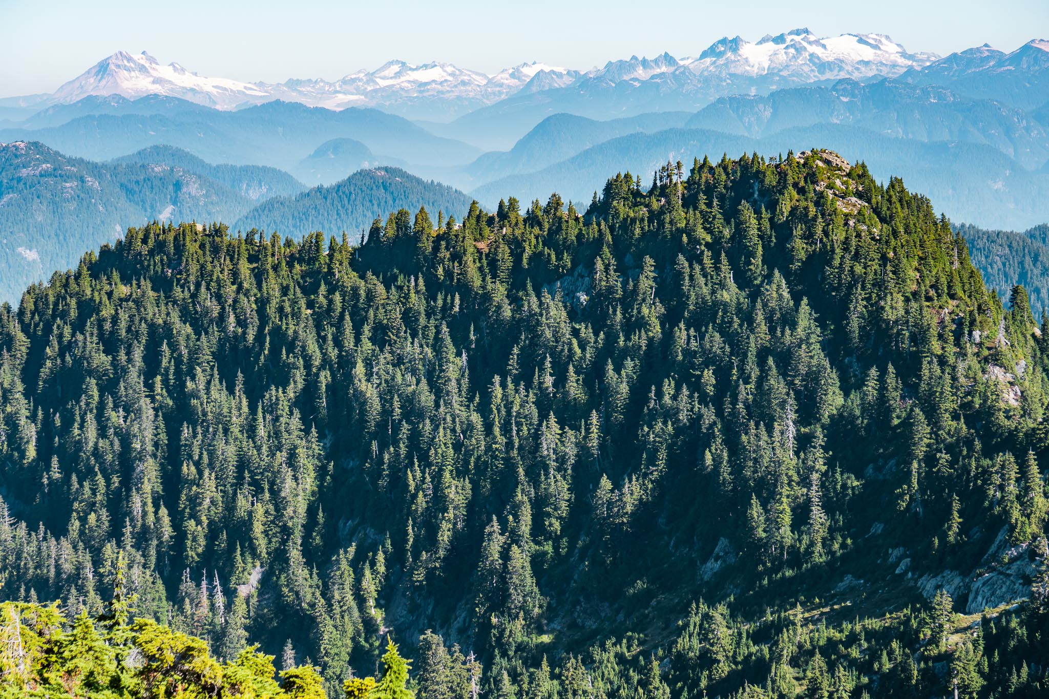 Hiking Mount Bishop in North Vancouver - Best Hikes BC